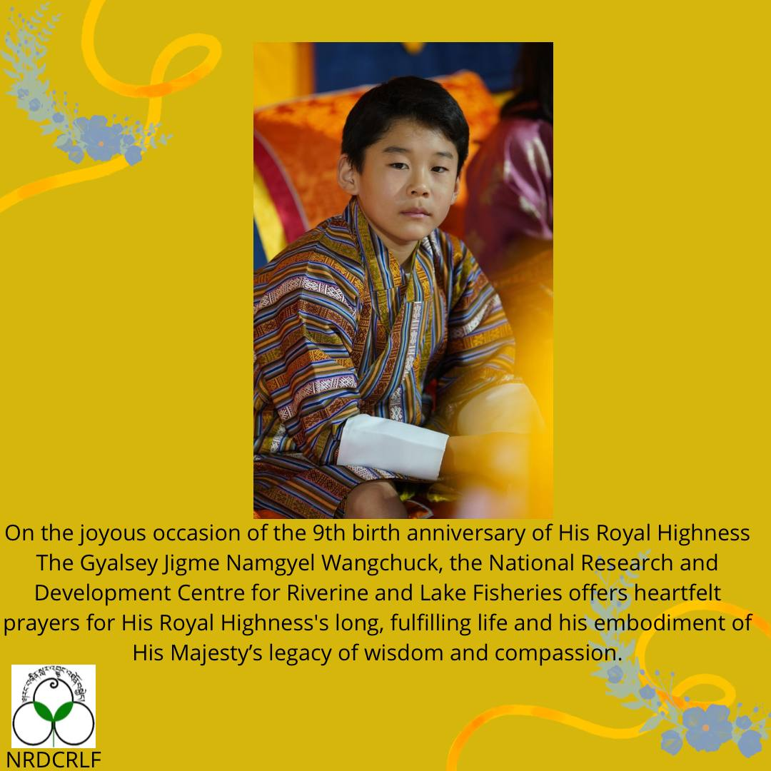 HONORING THE 9TH BIRTH ANNIVERSARY OF OUR BELOVED GYALSEY | National ...